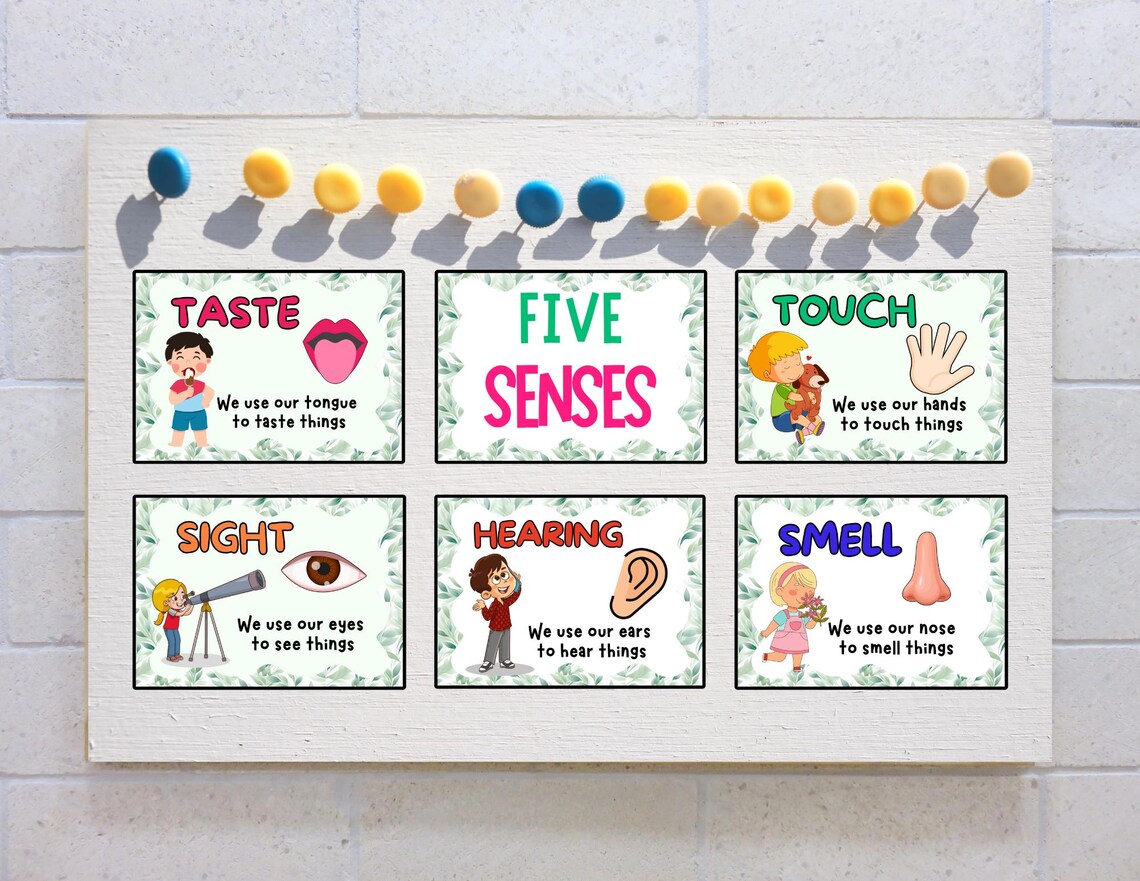 The 5 Senses Day Care Classroom Posters | Pre-k, Kindergarten Classroom ...