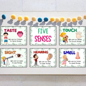 The 5 Senses Day Care Classroom Posters | Pre-k, Kindergarten Classroom ...