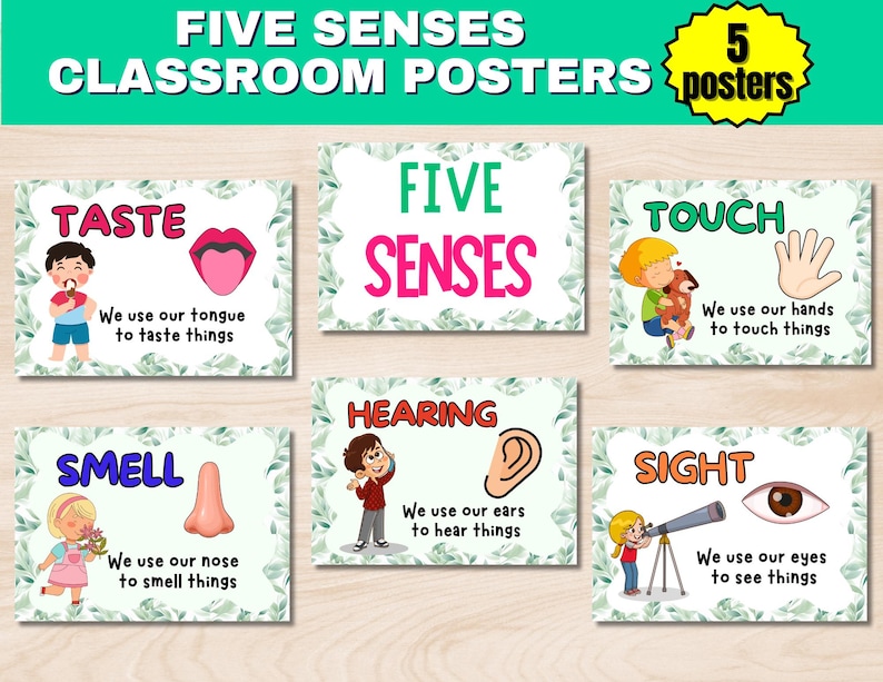 The 5 Senses Day Care Classroom Posters | Pre-k, Kindergarten Classroom ...