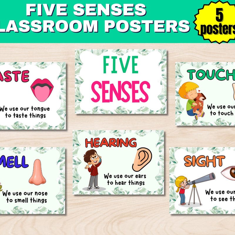 Five Senses Poster - Etsy
