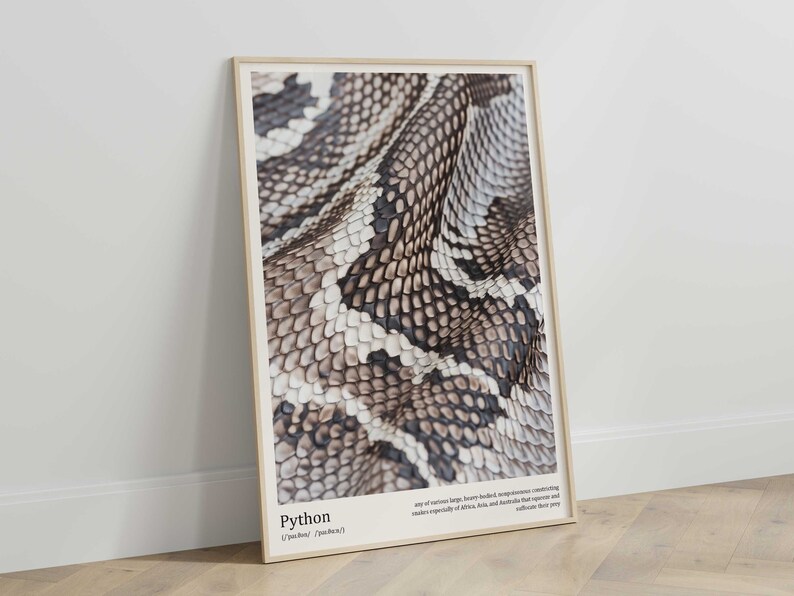 Python Snake Wall Art, Snake Skin Pattern Poster, Preppy Typography ...