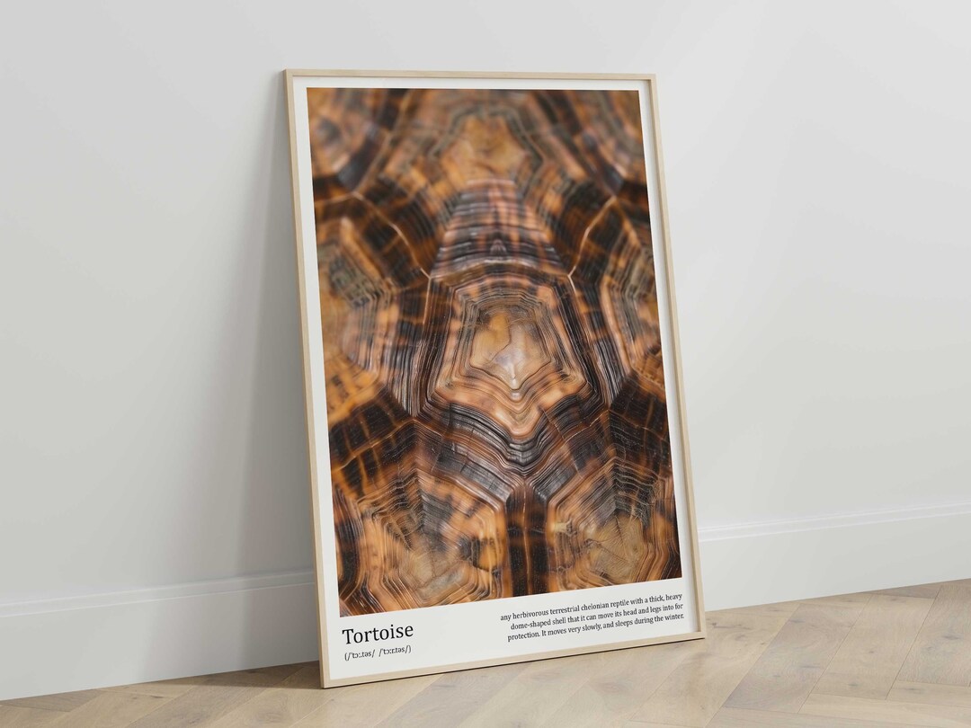 Tortoise Wall Art, Turtle Shell Pattern Poster, Preppy Typography Wall ...