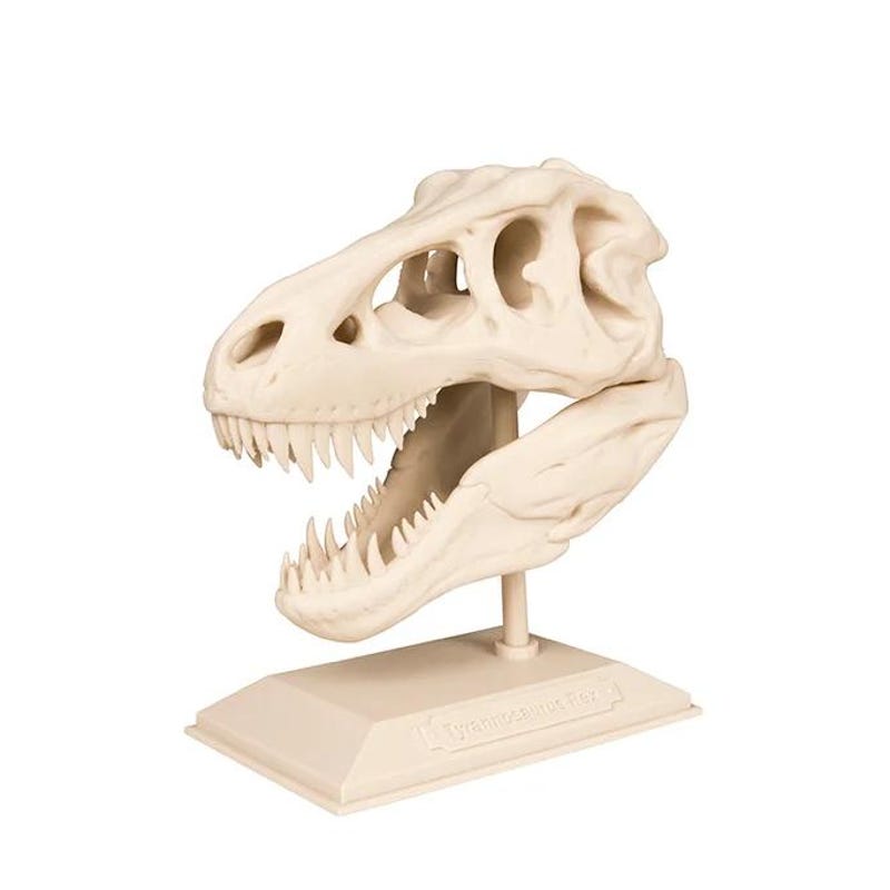 3d Printed Dinosaur Fossil Museum - Etsy