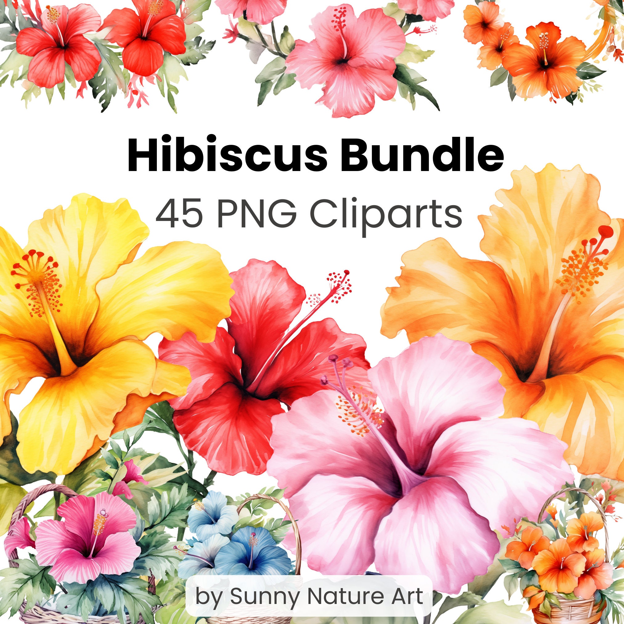 Hibiscus Clipart Flower Bundle Png,digital Download,commercial Use ...