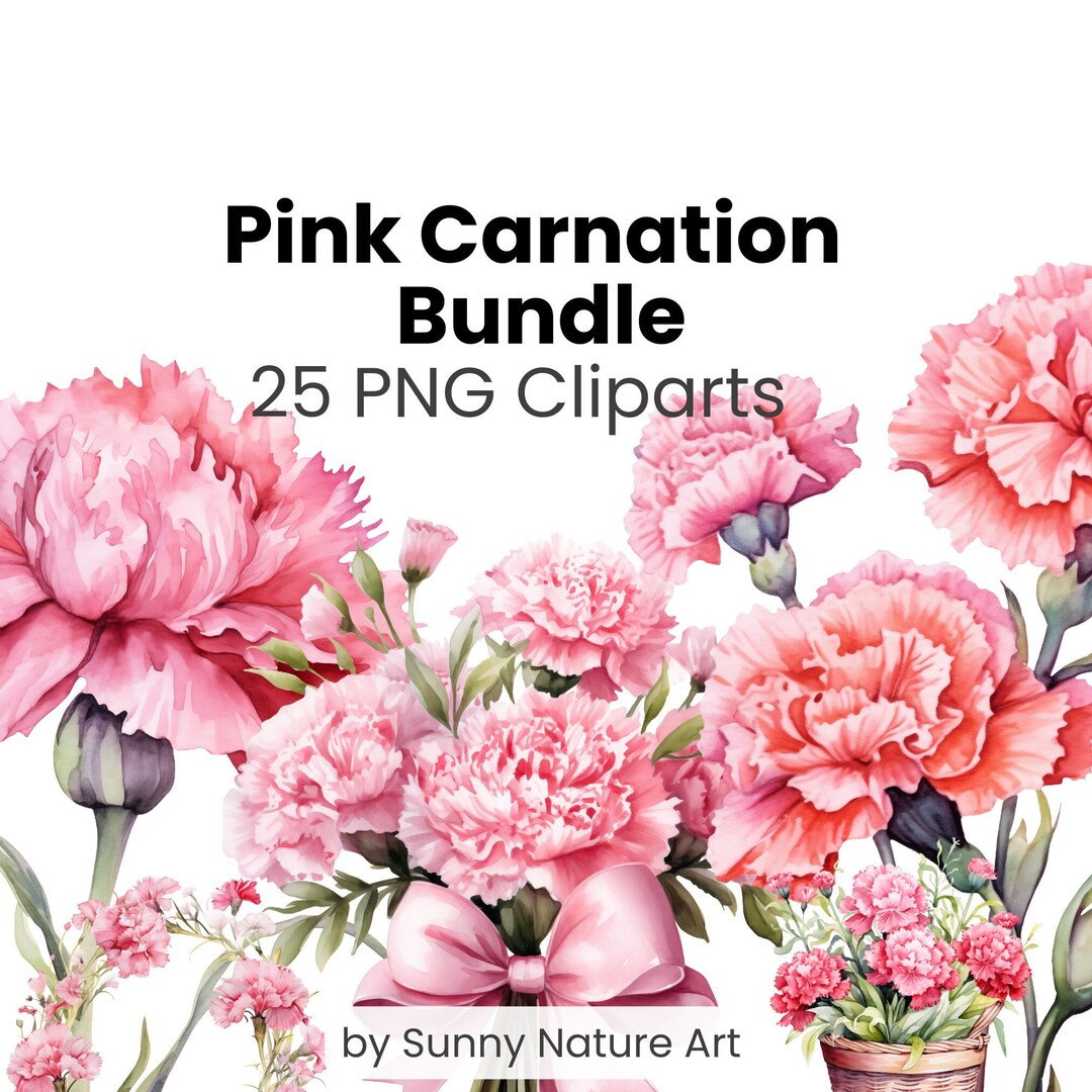 Pink Carnation Clipart Flower Bundle PNG, Digital Download, Commercial ...