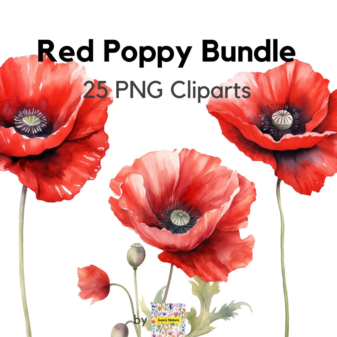 Red Poppy Clipart Flower Bundle PNG, Digital Download, for Commercial ...