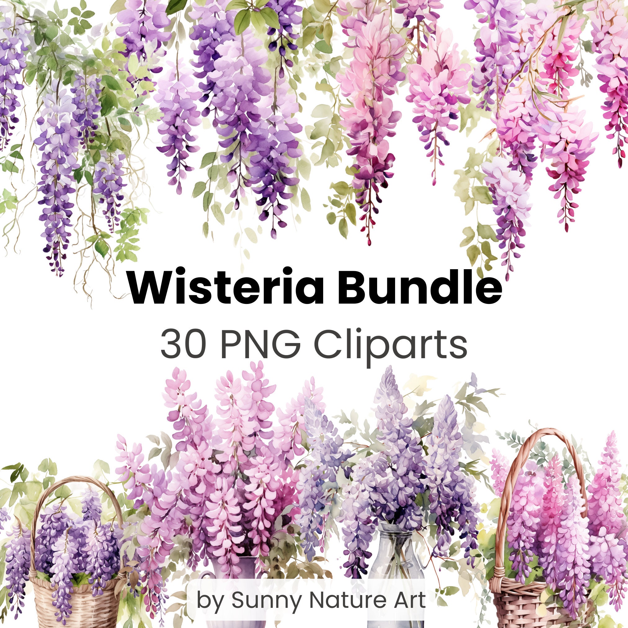 Wisteria Clipart Flower Bundle PNG, Digital Download, for Commercial ...