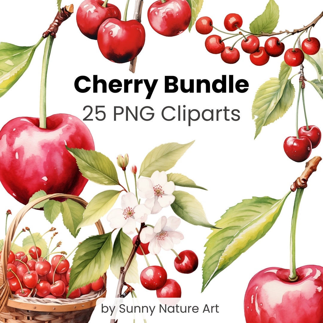 Cherry Fruit Clipart Bundle PNG, Digital Download, for Commercial Use ...