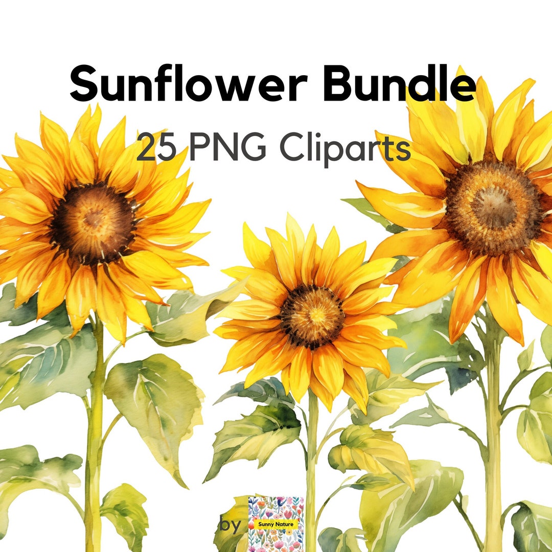 Sunflower Clipart Flower Bundle PNG, Digital Download, for Commercial ...