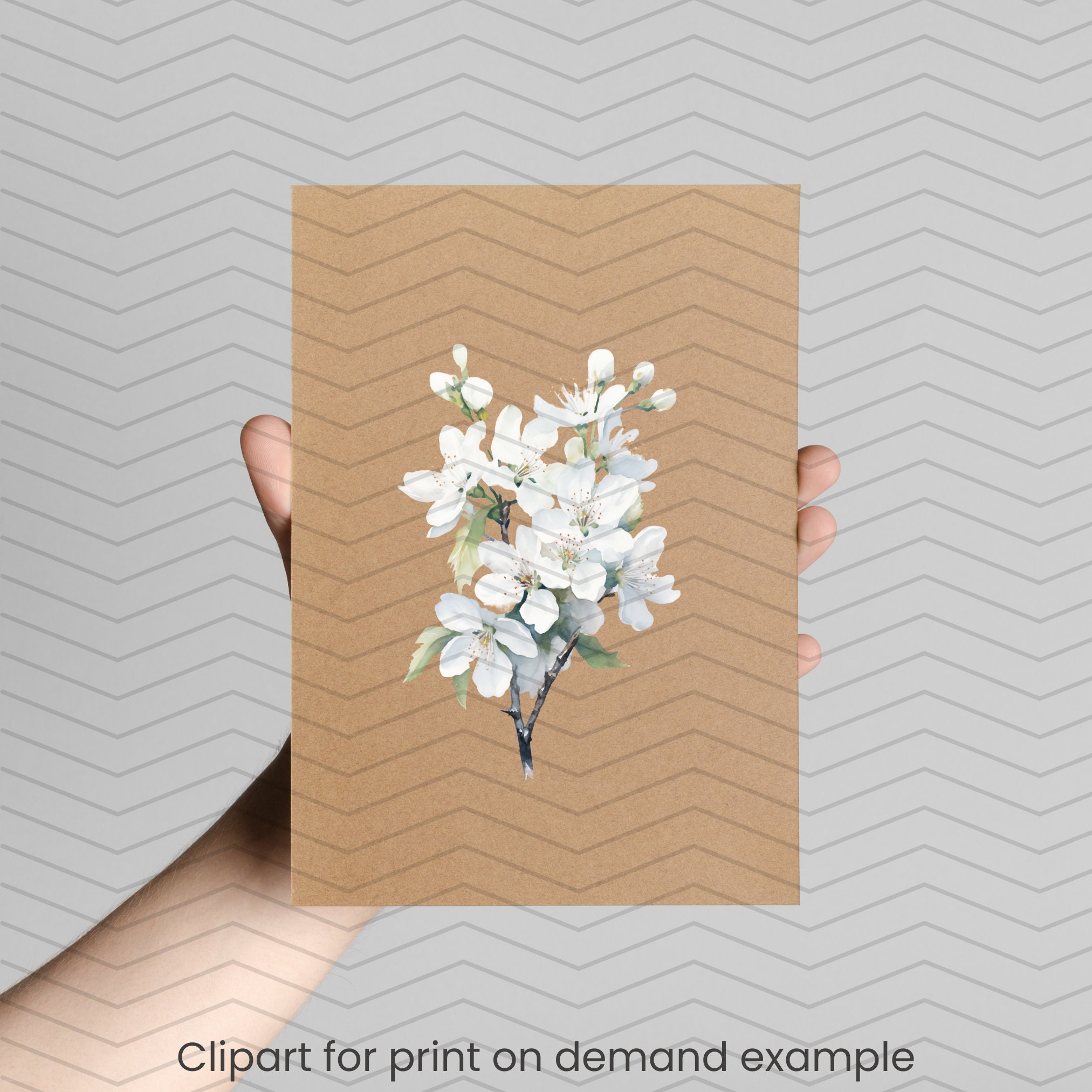 Cherry Blossom Clipart Flower Bundle Png,digital Download,commercial ...