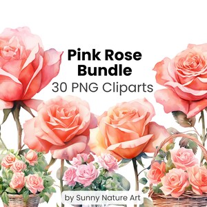 Pink Rose Clipart Flower Bundle Png,digital Download,commercial Use ...