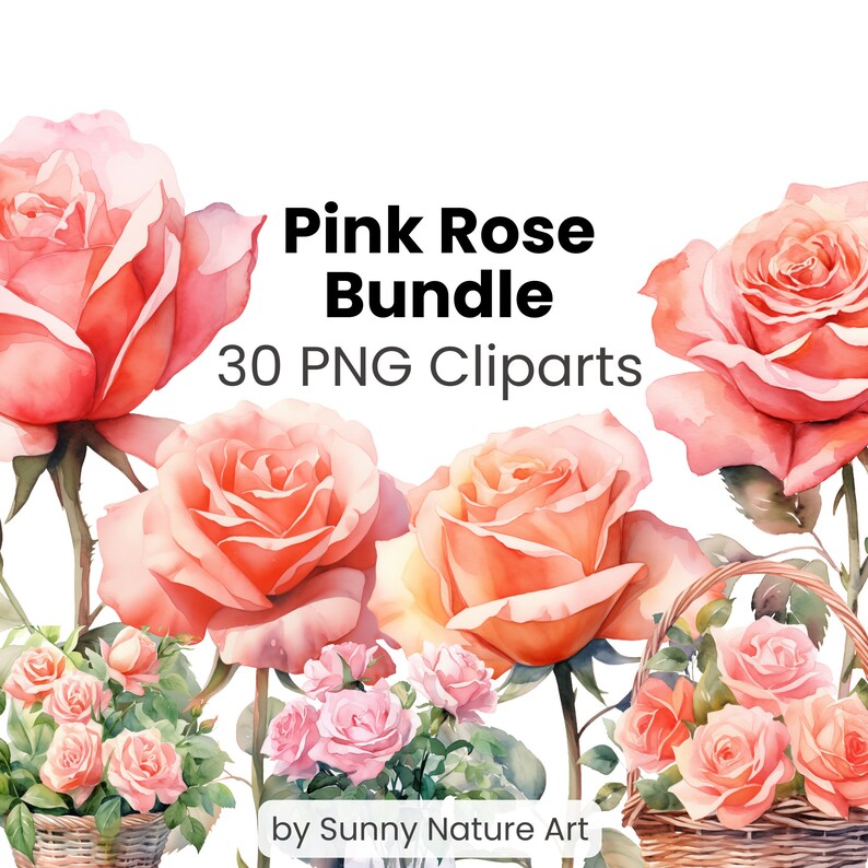 Pink Rose Clipart Flower Bundle Png,digital Download,commercial Use ...
