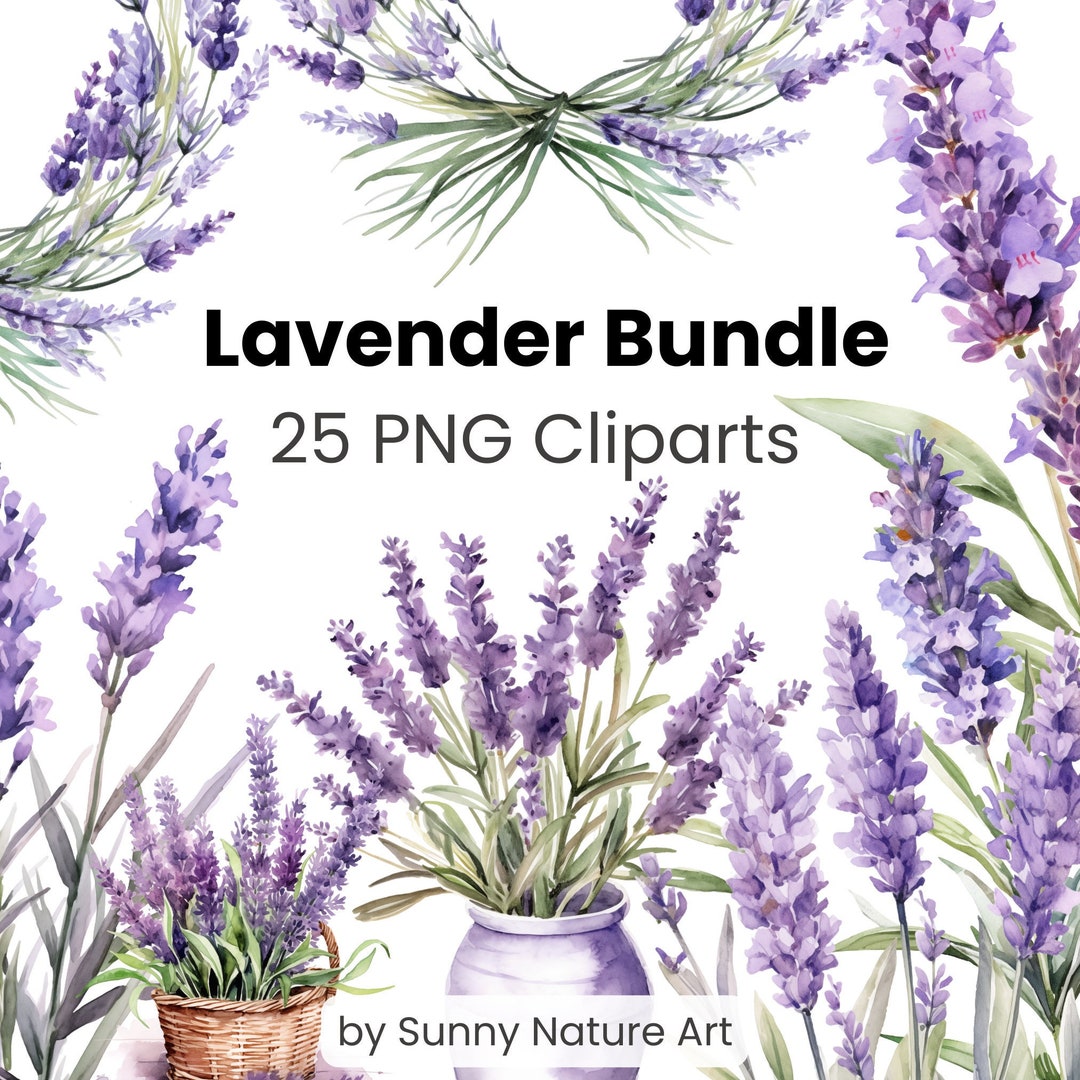 Lavender Clipart Flower Bundle, Digital Download, Commercial Use ...