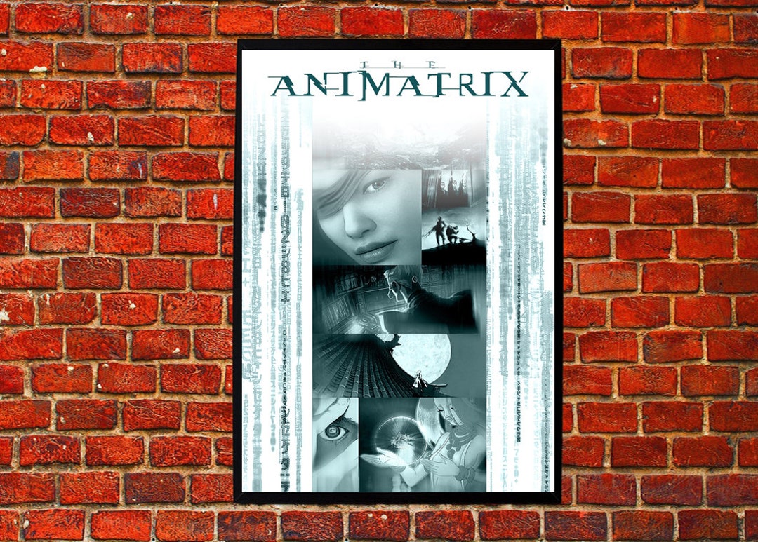 The Animatrix Animated Matrix Sci-fi Cover Poster Canvas Matte Silk A1 ...
