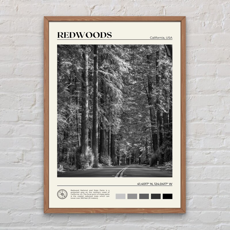 Redwood Print - Etsy