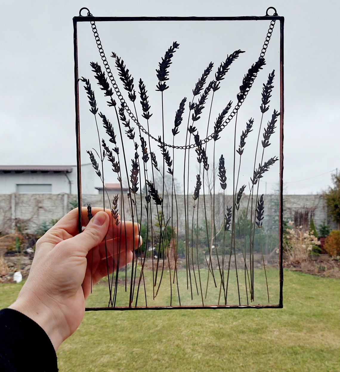 Large Pressed Flower Frame. Wall Decor. Hanging Glass Decor, Botanical ...