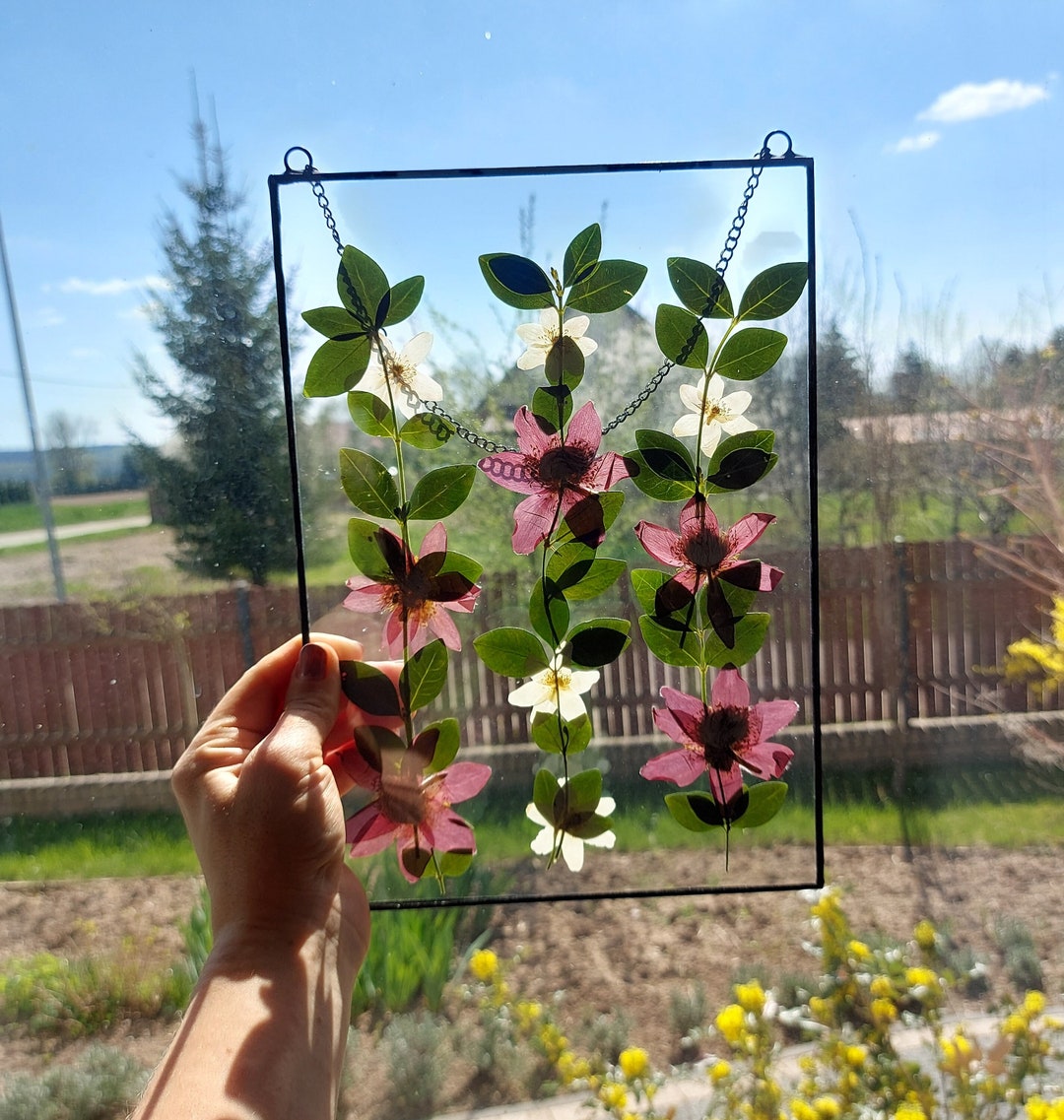 Large Pressed Flower Frame. Wall Decor. Hanging Glass Decor, Botanical ...