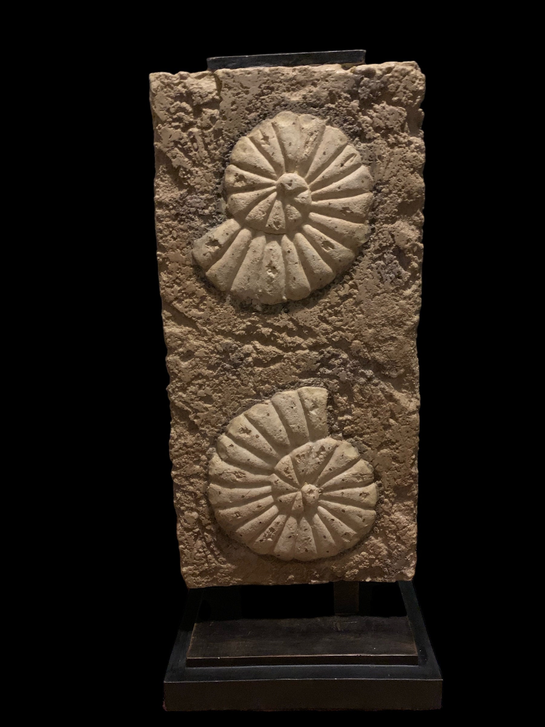 Very Cool Ammonite Inspired Concrete Sculpture Lamp - Etsy
