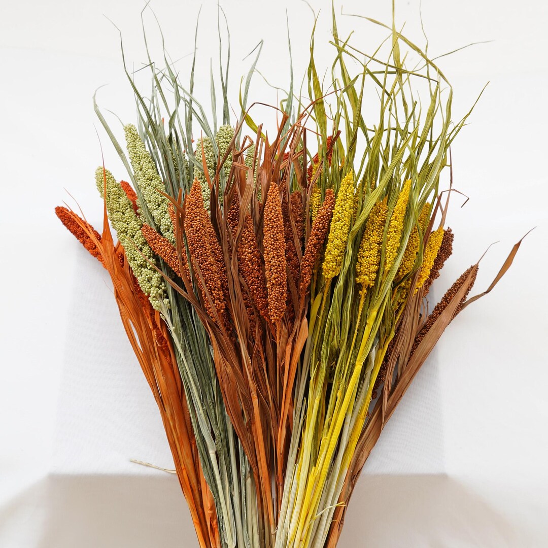 Foxtail Millet Grass,dried Flowers Bouquetdiy Craft Supply，home Decor ...