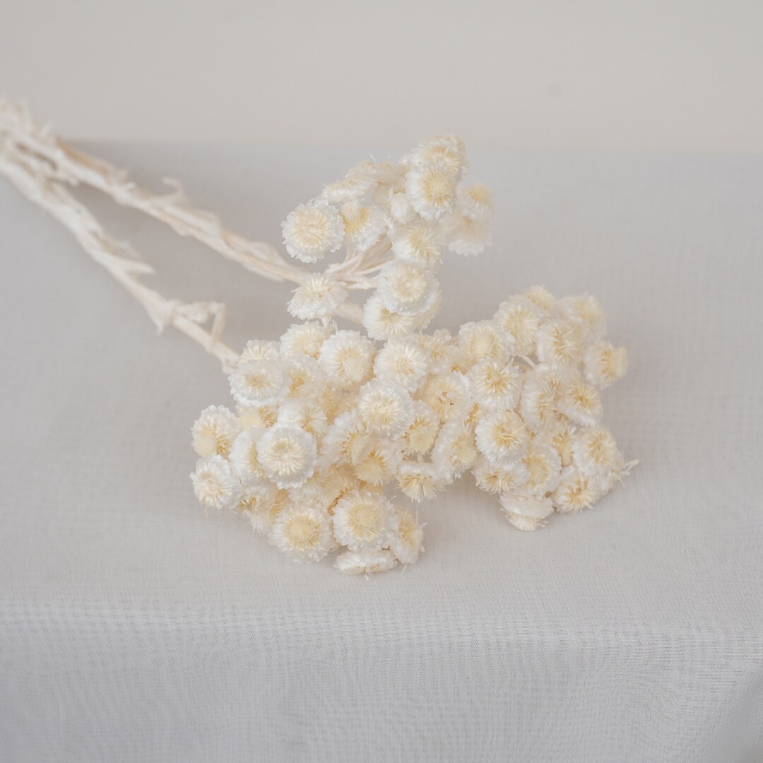 Dried Flowers Bouquet,natural Bleach Dried Flower Decoration,ried ...