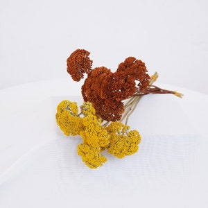 Dried Flowers Yarrow Bunch,diy Craft Supply,home Decor - Etsy