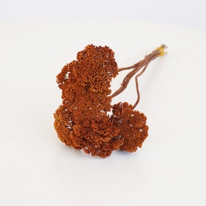 Dried Flowers Yarrow Bunch,diy Craft Supply,home Decor - Etsy