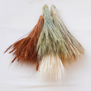 Dried Wheat Natural Bunch ,dried Flowers Ear of Wheat Bouquet,diy Craft ...