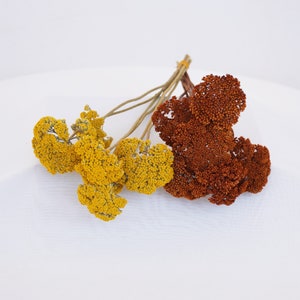Dried Flowers Yarrow Bunch,diy Craft Supply,home Decor - Etsy