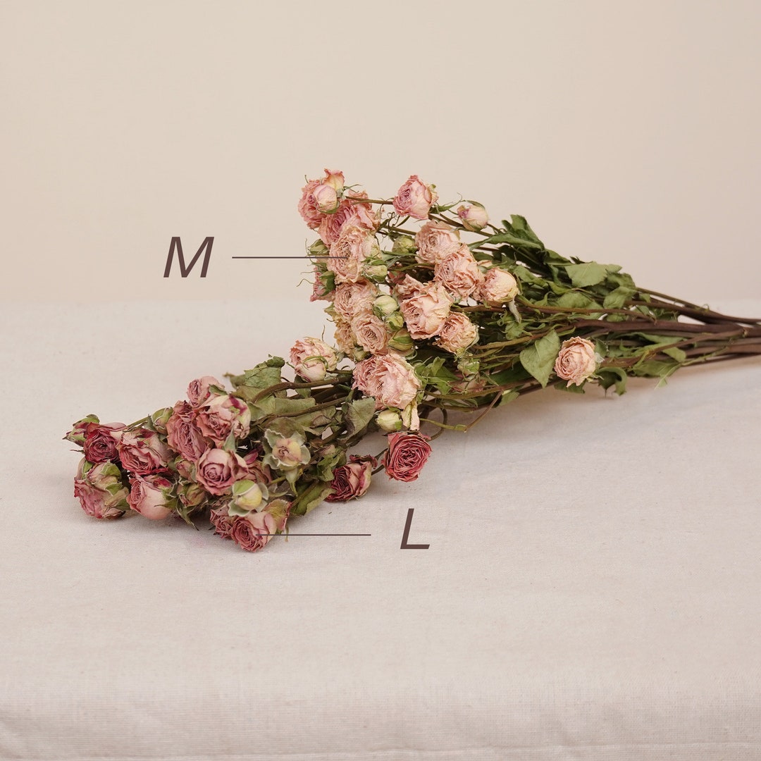 Dried Rose Bouquet, Dried Flower Arrangement, Desk Decoration Home ...