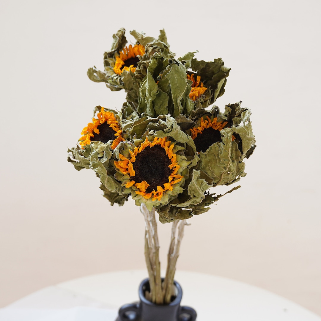 Dried Sunflowers，natural Dried Flower Decoration,ried Flower ...