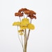 Dried Flowers Yarrow Bunch,diy Craft Supply,home Decor - Etsy