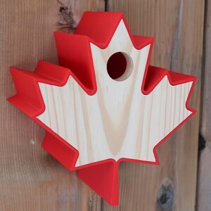 Maple Leaf - Modern Minimalist Birdhouse for Small City Birds. Wooden ...