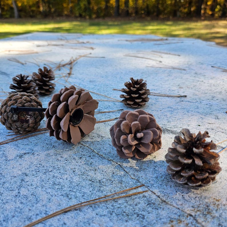 Realistic Pinecone Geocache Container Gift for Geocacher Friend ...