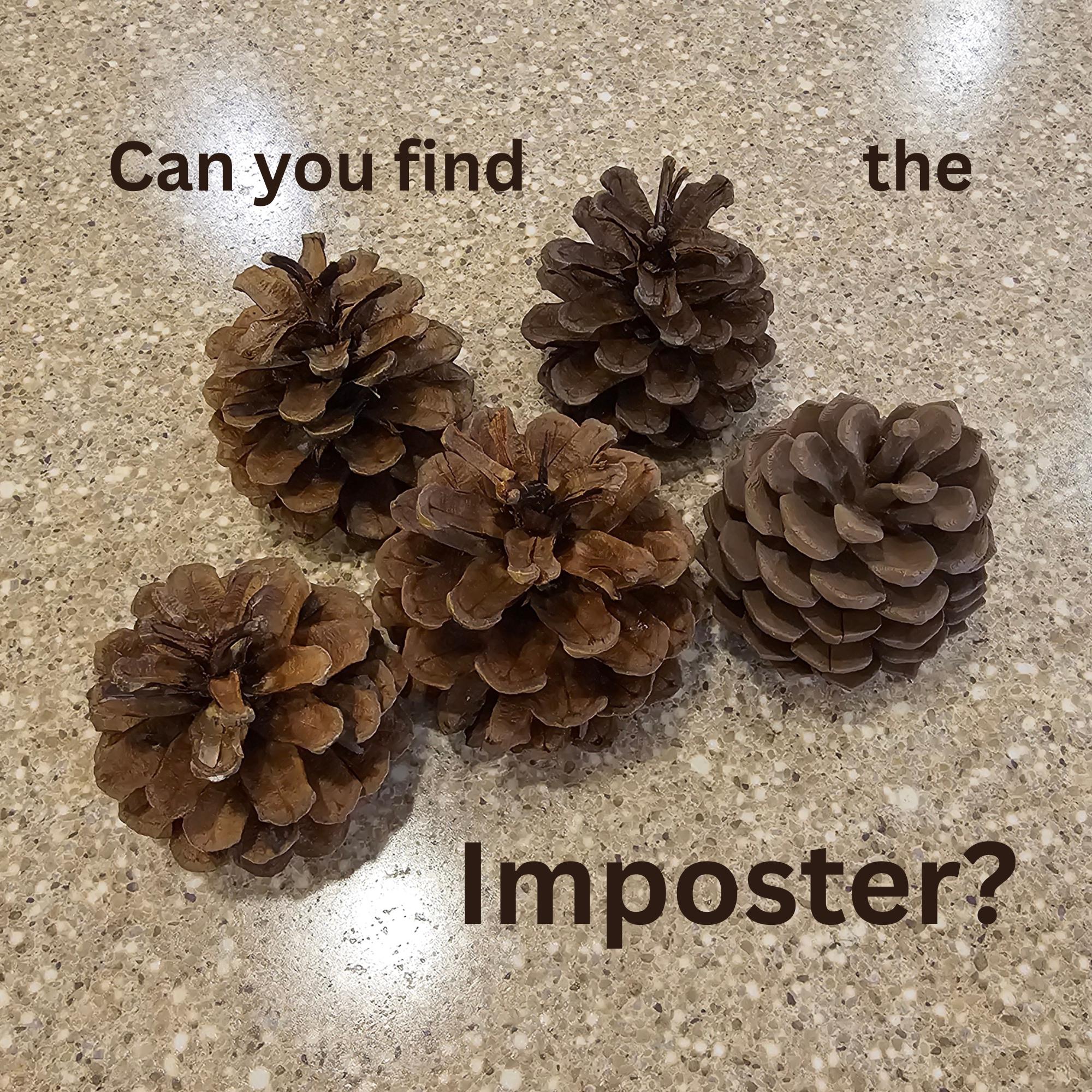 Realistic Pinecone Geocache Container Gift for Geocacher Friend ...