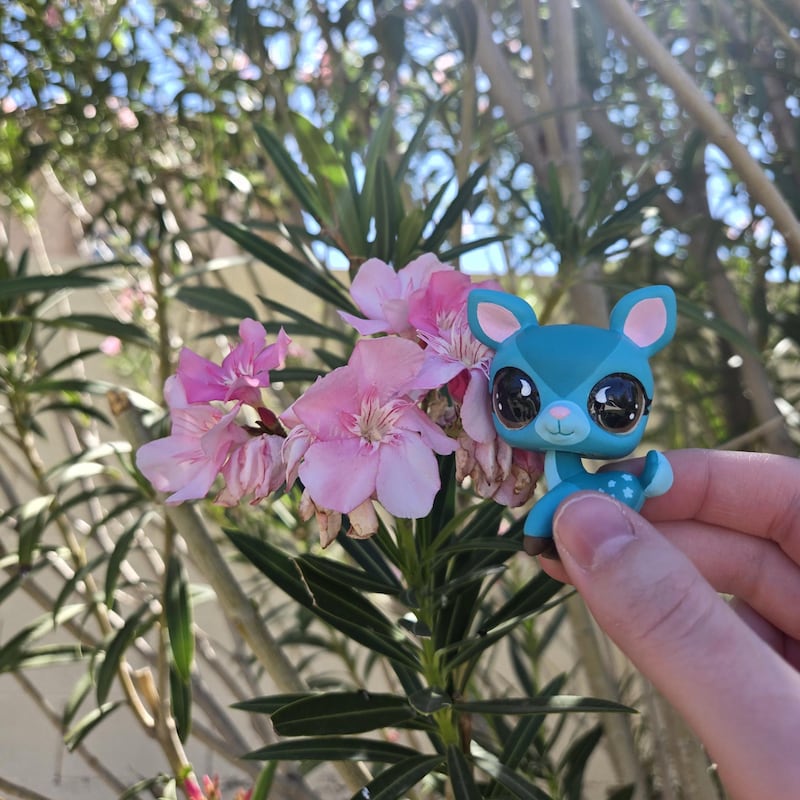 Lps Custom - Etsy
