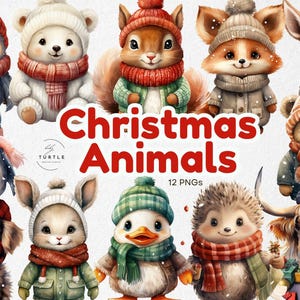 Woodland Animal PNG, Watercolor Clip Art, Forest Animals PNG, Baby ...