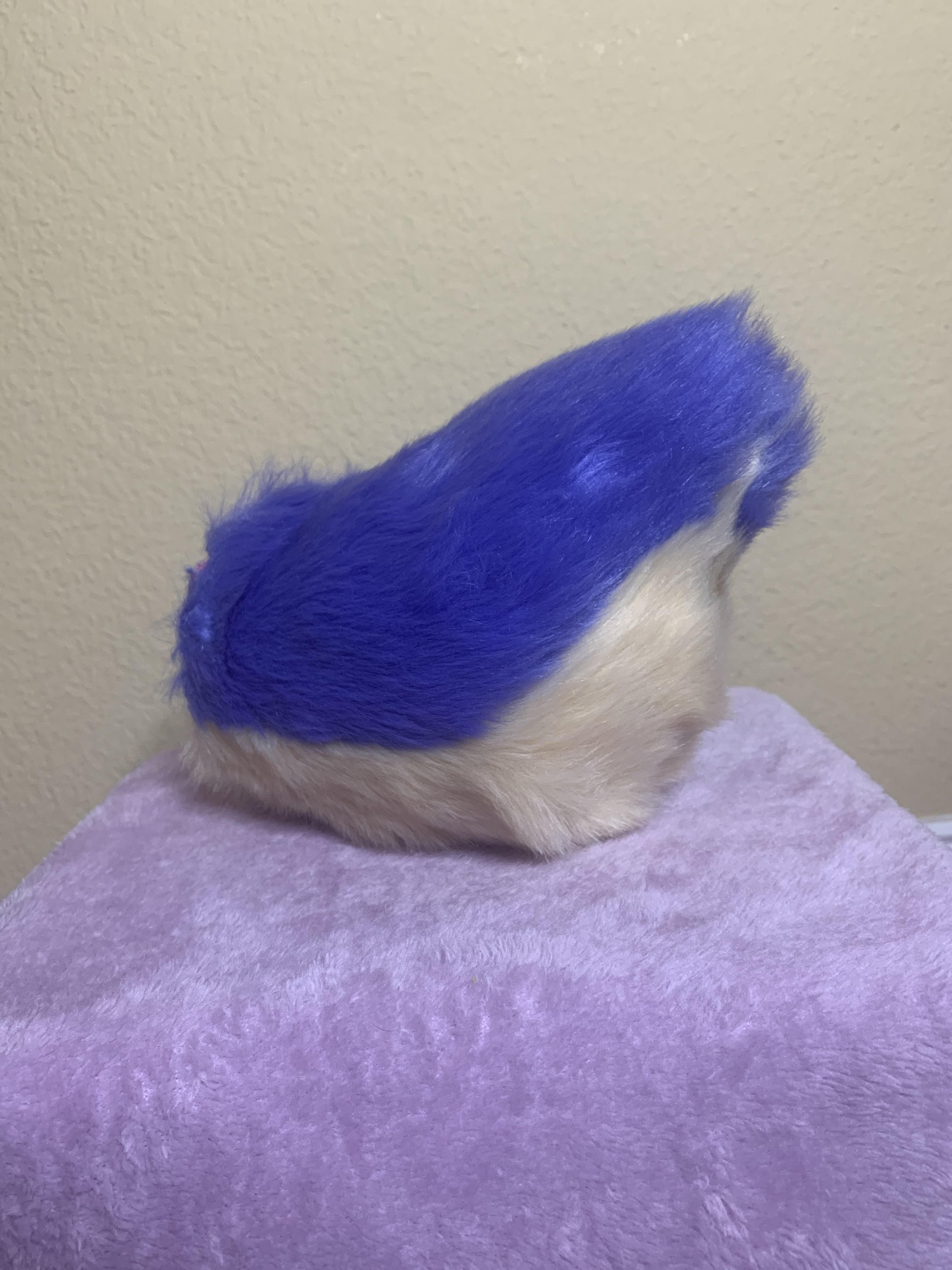 Nub Tail Fursuit Tail/cosplay Tail 4 Different Colors - Etsy