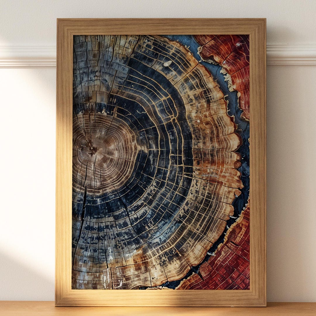Tree Ring Framed Wall Art, Abstract Colorful Tree Ring Wall Decor, Home ...