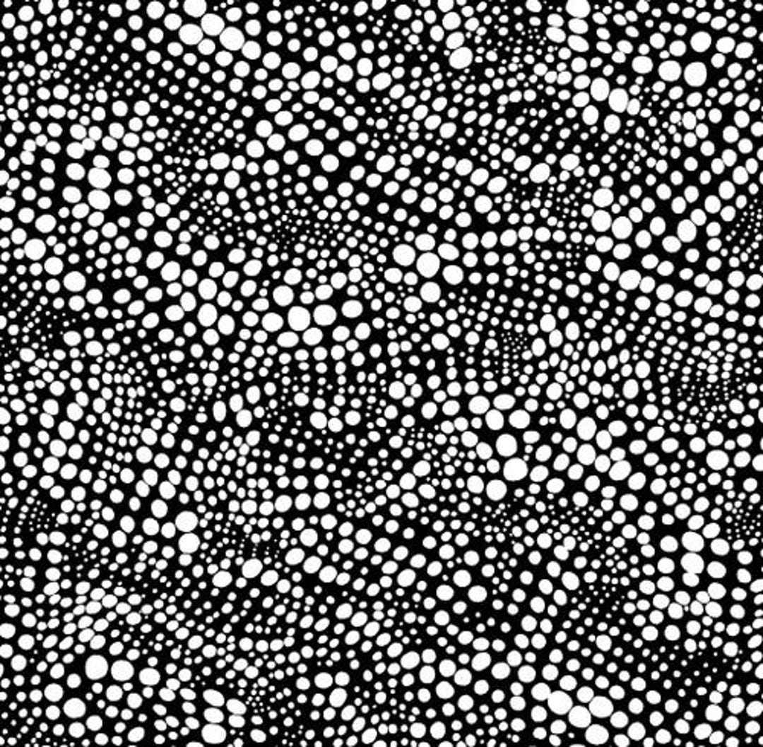 118" Wide Backing Fabric | Black & White Dot Print, Quilt Back by ...