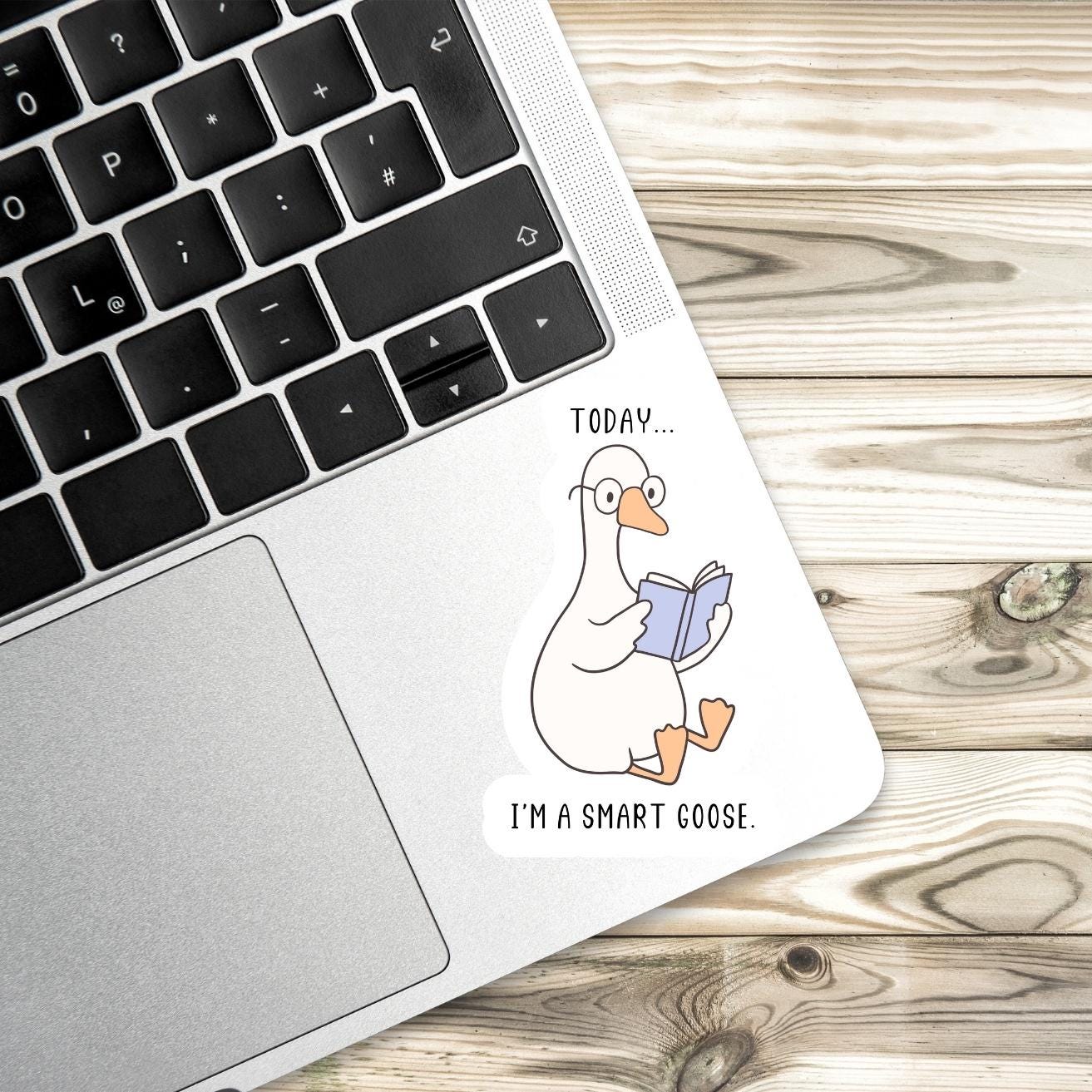 Silly Goose Sticker Holographic Decal Funny Duck Laptop Water Bottle ...