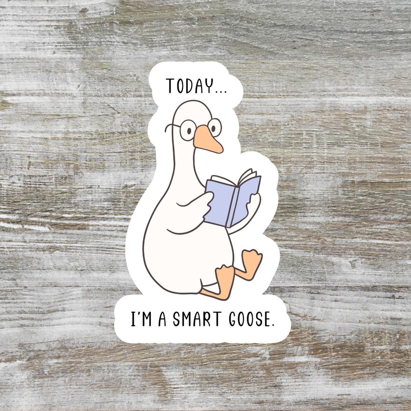 Silly Goose Sticker Holographic Decal Funny Duck Laptop Water Bottle ...