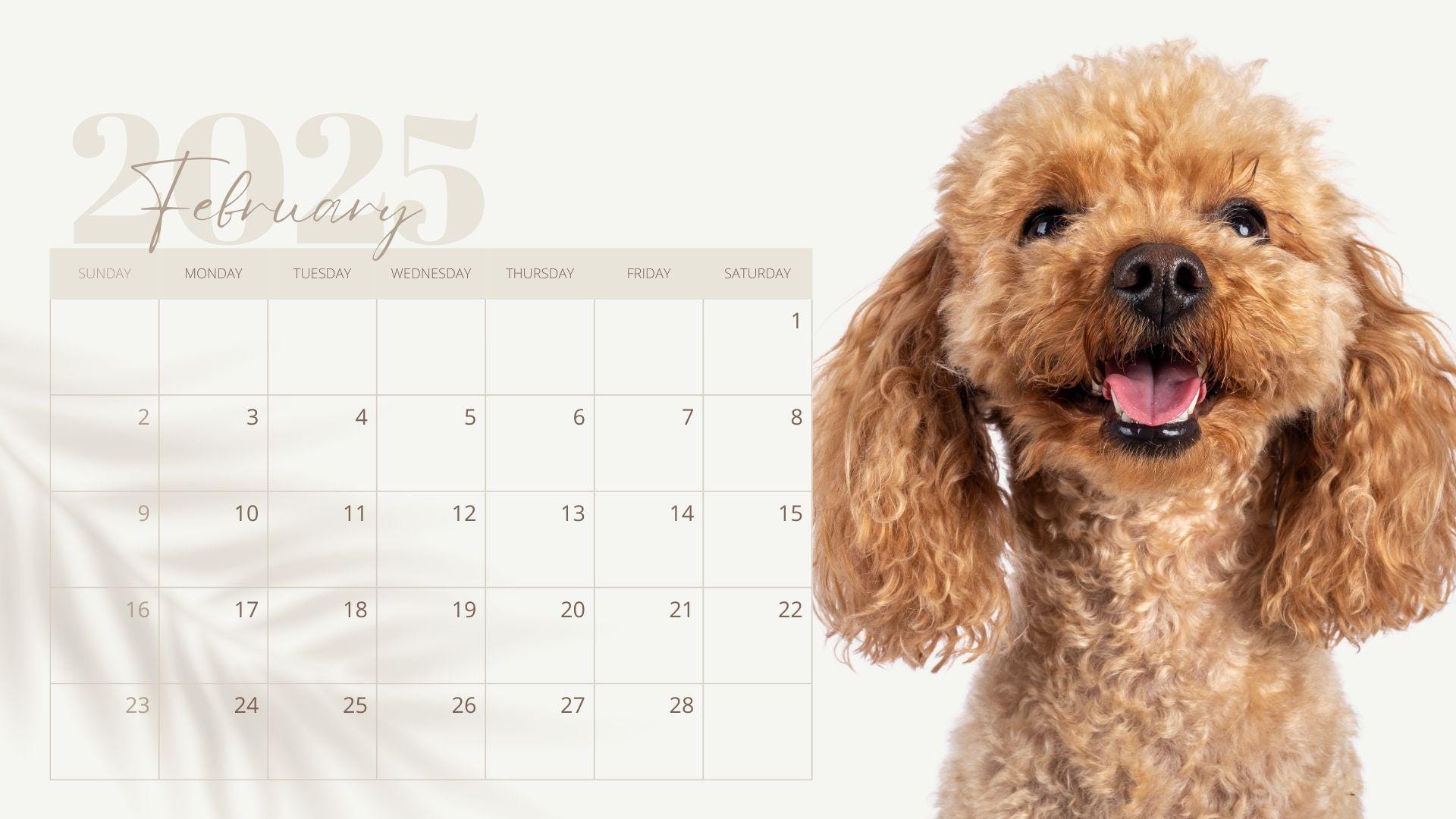 2025 Dog Calendar Printable | Cute Monthly Digital Download With 12 ...
