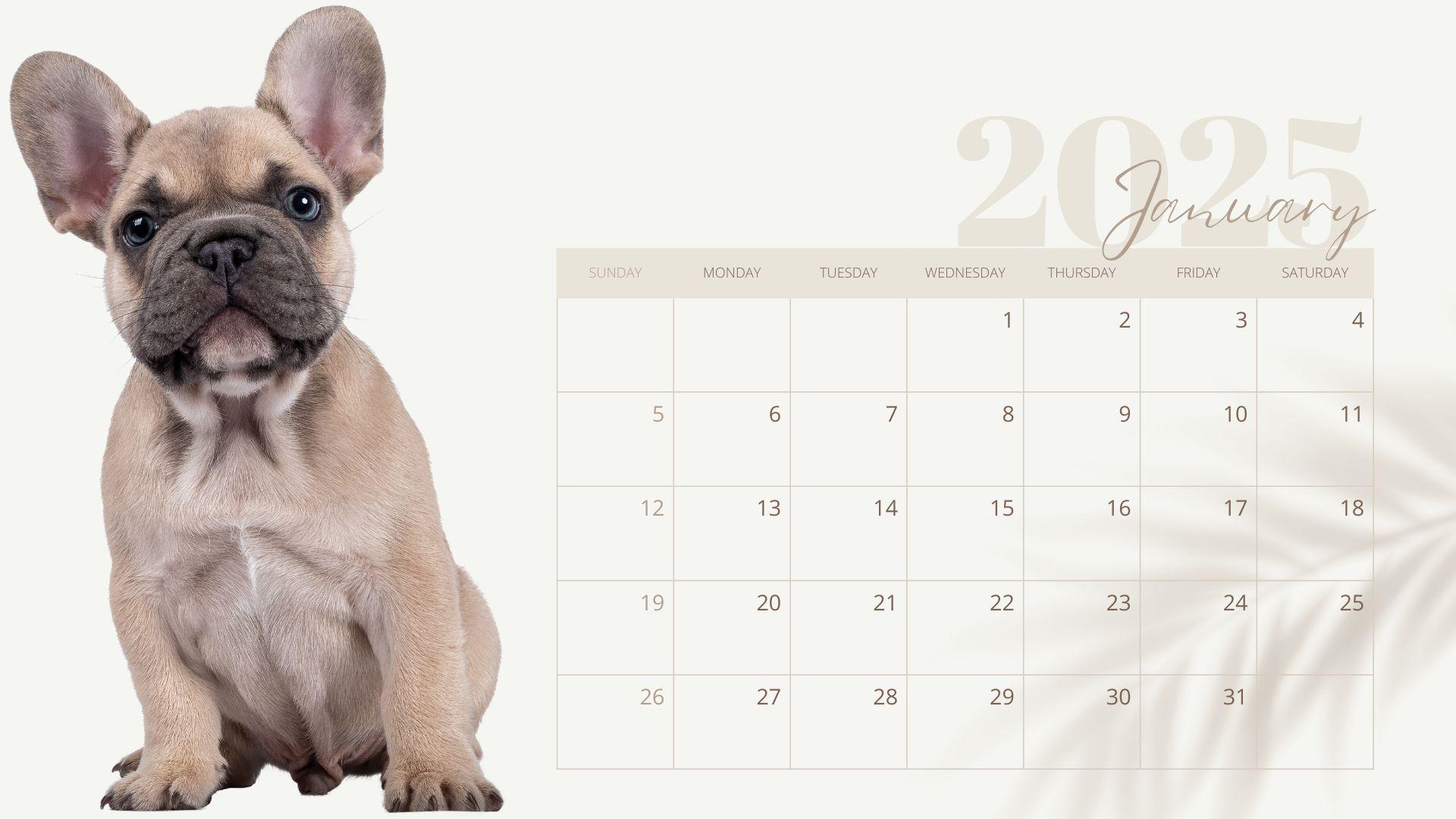 2025 Dog Calendar Printable | Cute Monthly Digital Download With 12 ...