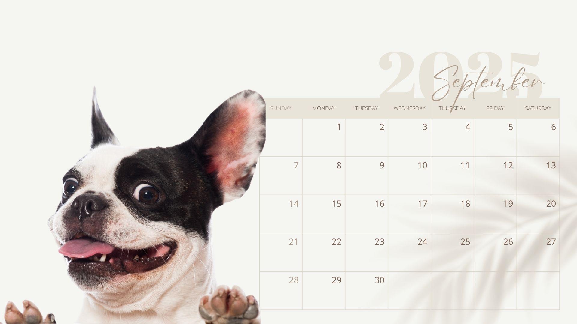 2025 Dog Calendar Printable | Cute Monthly Digital Download With 12 ...