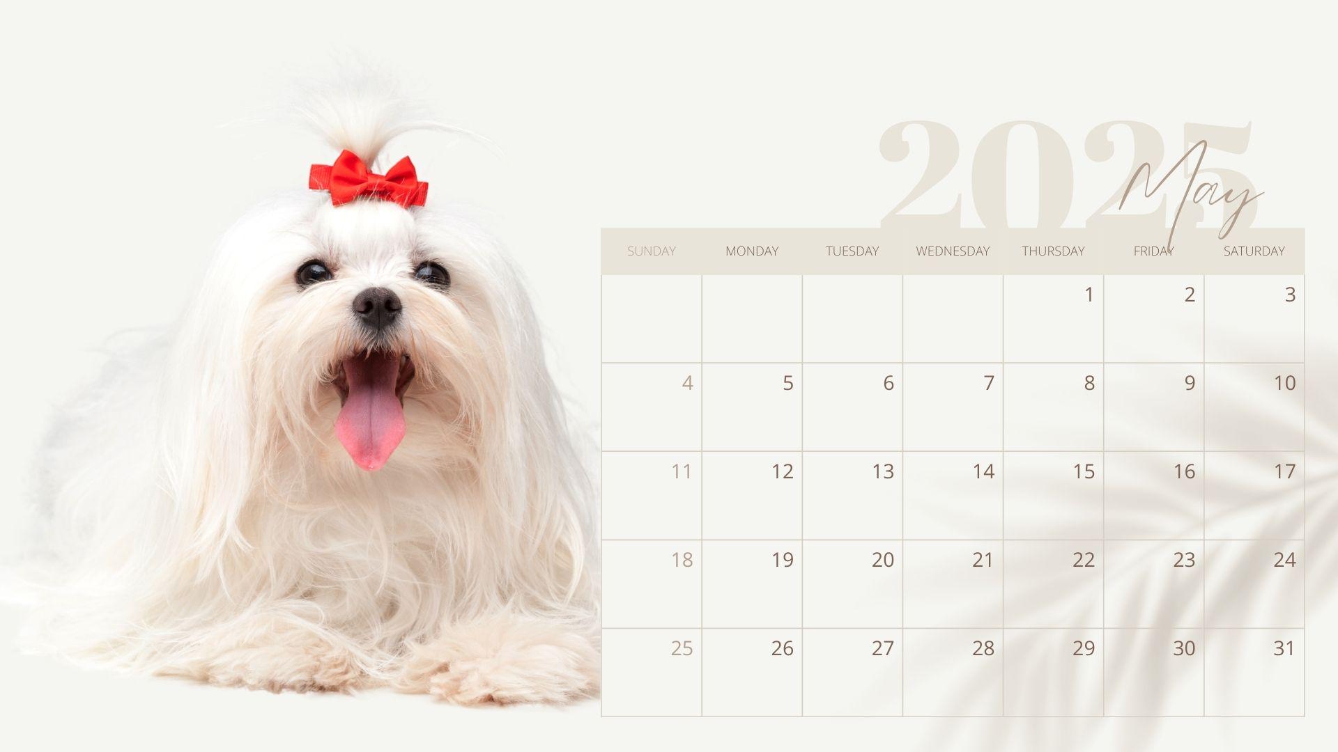 2025 Dog Calendar Printable | Cute Monthly Digital Download With 12 ...
