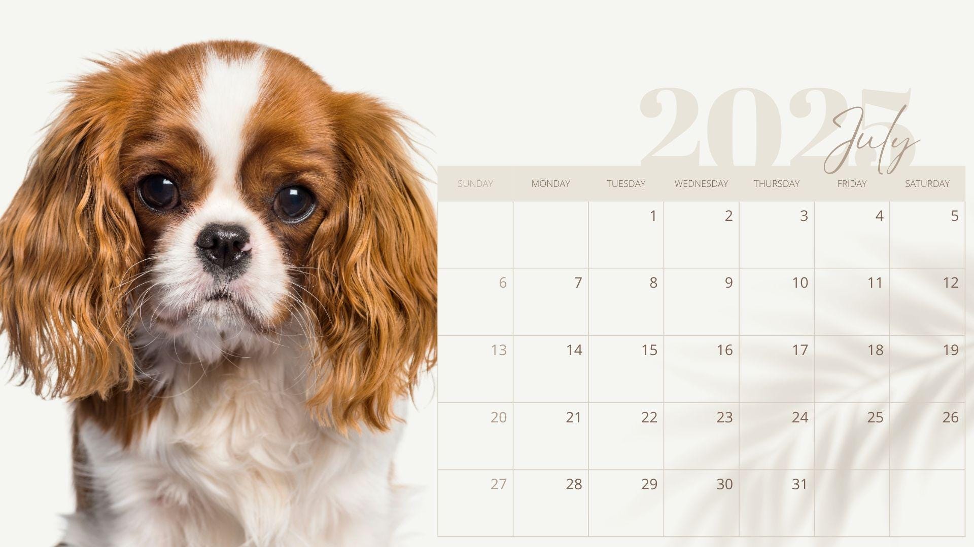 2025 Dog Calendar Printable | Cute Monthly Digital Download With 12 ...
