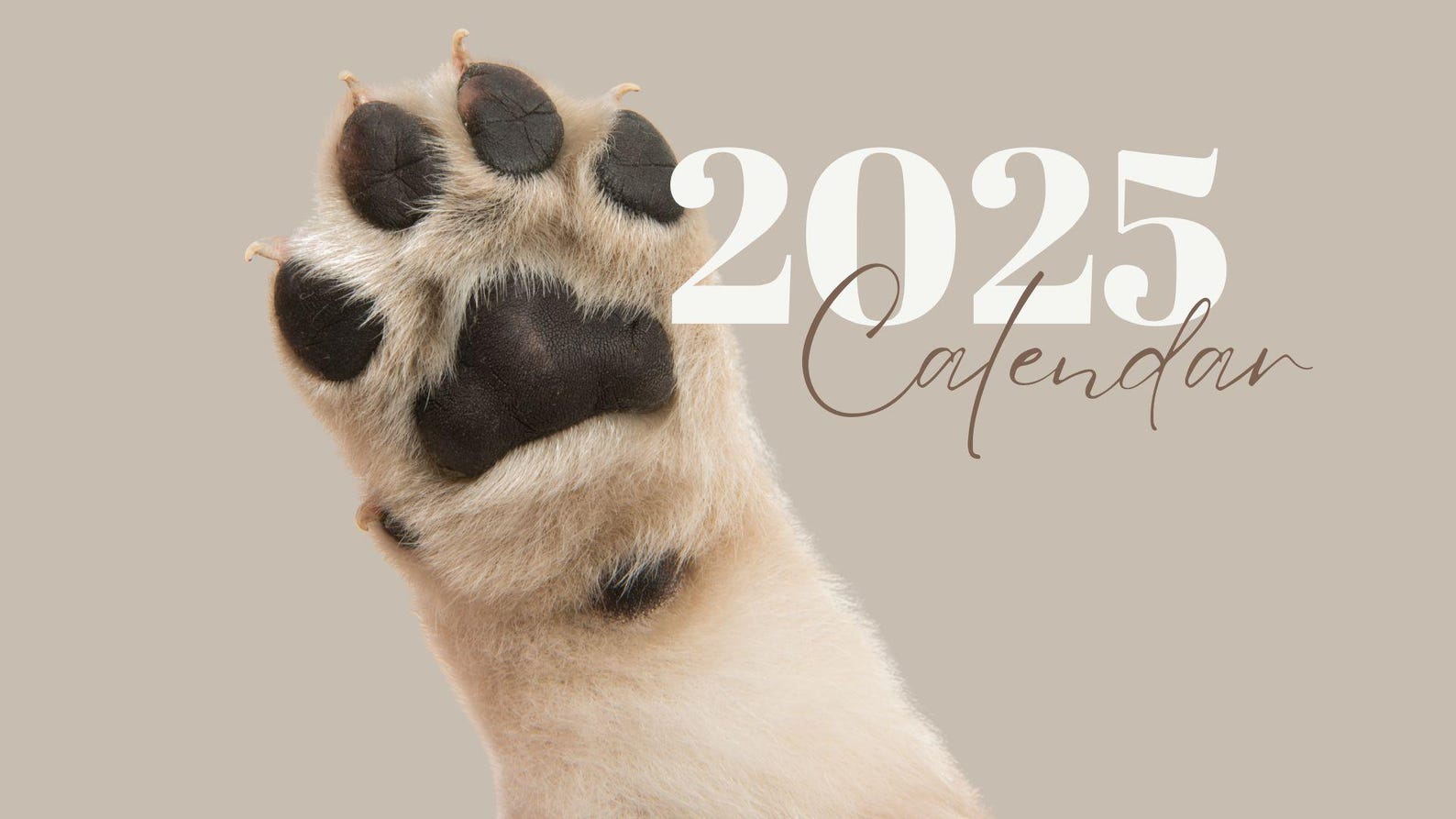 2025 Dog Calendar Printable | Cute Monthly Digital Download With 12 ...