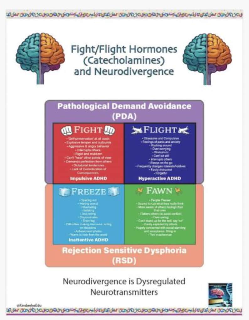 Fight/flight Hormones and Neurodivergence PDF - Etsy