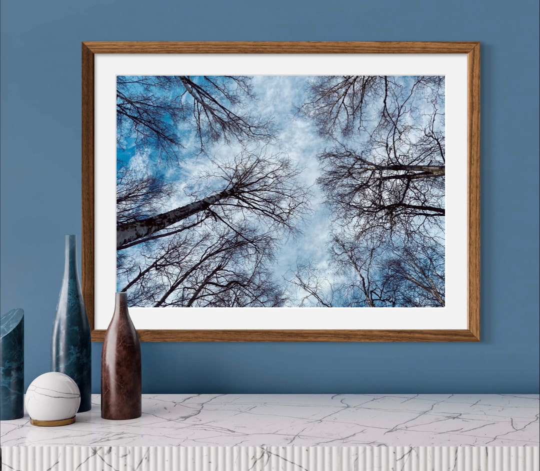 Magical Clouds Sky Birch Tree Art, Tree Sky Wall Art Decor, Nature ...