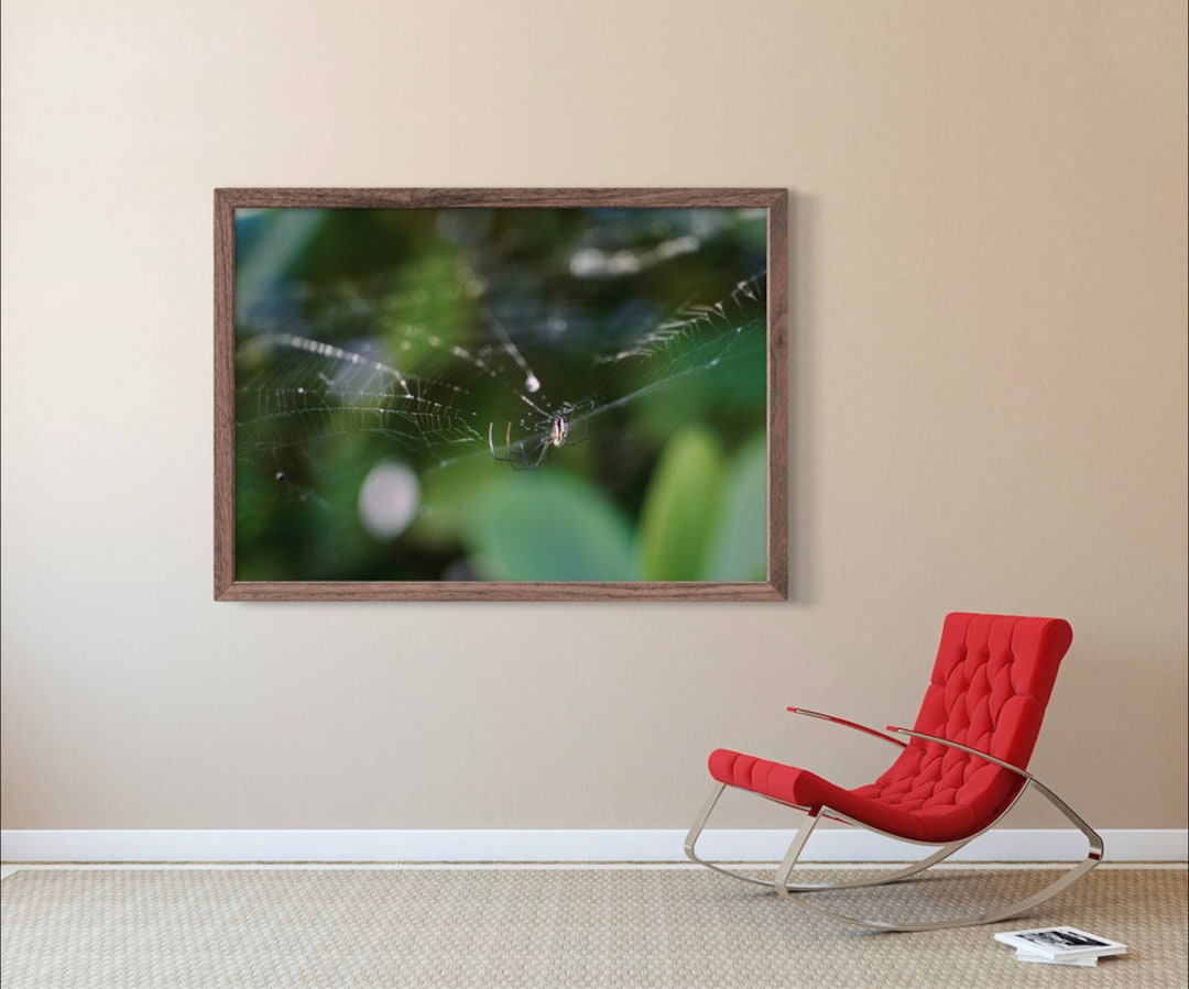 Walking Into Spiderwebs Digital Download Print, Spider Spiderweb Wall ...